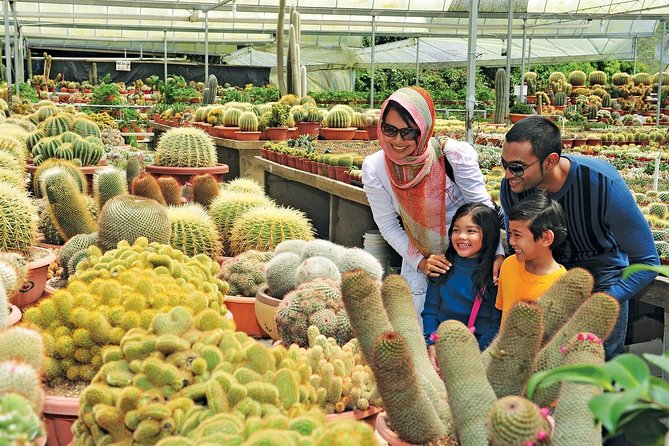 Private Nature Trip to Cameron Highlands from Kuala Lumpur - Final Word