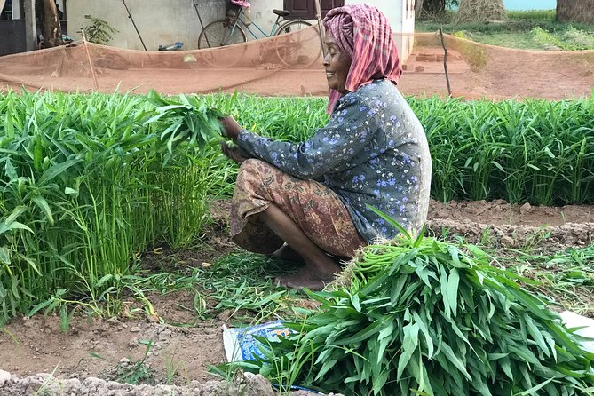 Private Siem Reap Countryside Tour by Jeep with Local Food Experience - Who Would Love This Tour?