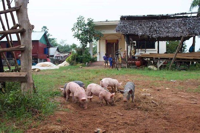 Private Siem Reap Quad Bike Adventure - The Sum Up: Is the Private Siem Reap Quad Bike Adventure for You?