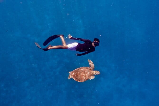 Private Snorkeling Gili Island Including GoPro Camera - Practical Details and Tips