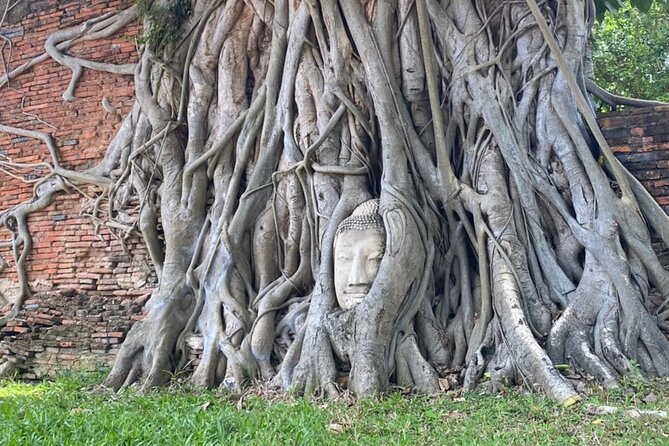 Private tour : A day in a life to visit Ayutthaya with authentic local lunch - The Experience: What Travelers Say