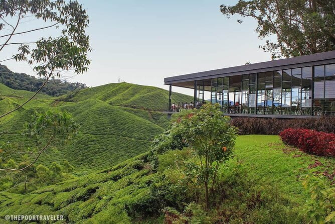 Private Tour: UNESCO Archaeological Heritage Of The Lenggong Valley from Ipoh - Who Will Love This Tour?