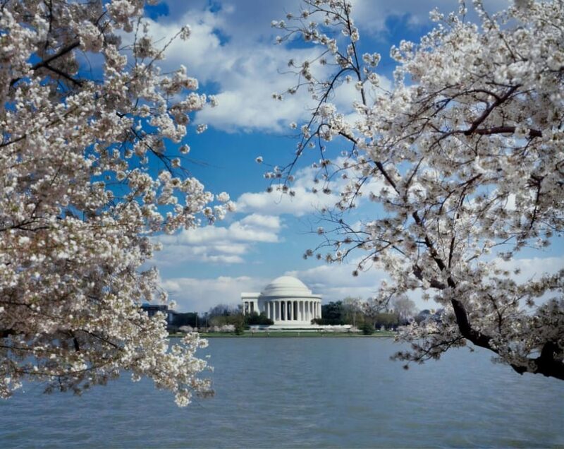 Private Tour: Washington DC with Luxury SUV 6h Self Guided - Final Thoughts: Is It Worth It?