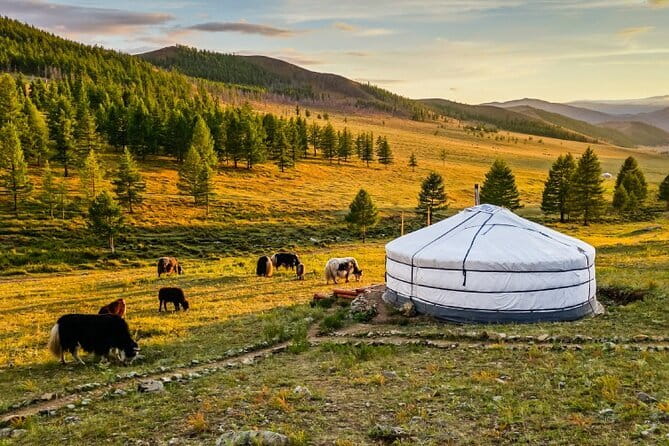 Private tour with Olivia: Chinggis Statue-Terelj-Aryabal temple - Who Should Consider This Tour?