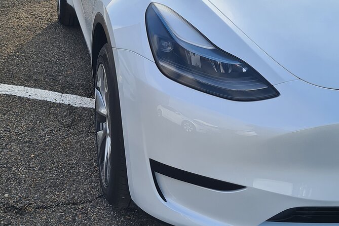 Private Transfer: CDG Airport  Paris - Who Should Book This Service?