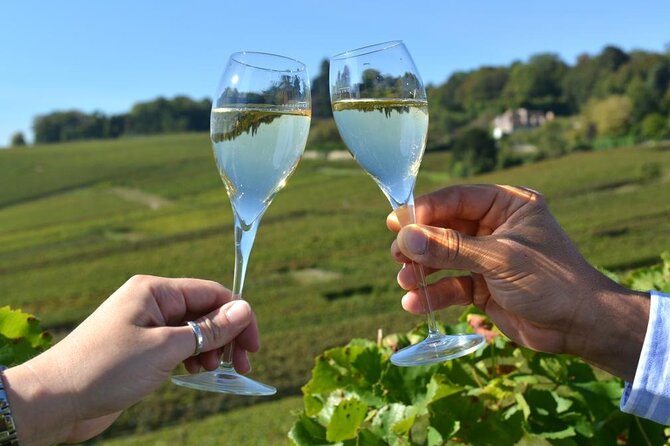 Private Transfer: Paris Airport CDG to Reims / Champagne by Van - Who Should Consider This Service