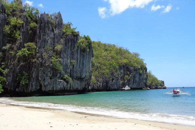 Private Van Rental in Puerto Princesa - The Driving Experience and Service Quality