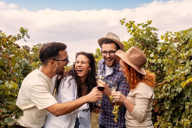 Private Walking Tour in Baden Neuweirs Vineyard - FAQ: Common Questions about the Baden Neuweier Vineyard Tour
