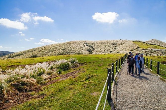 Private Yangmingshan & Beitou Tour from Taipei with Pickup - The Sum Up