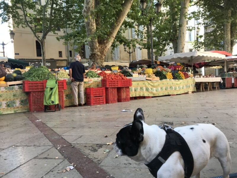 Provencal Market Walking Tour with Tastings - The Sum Up