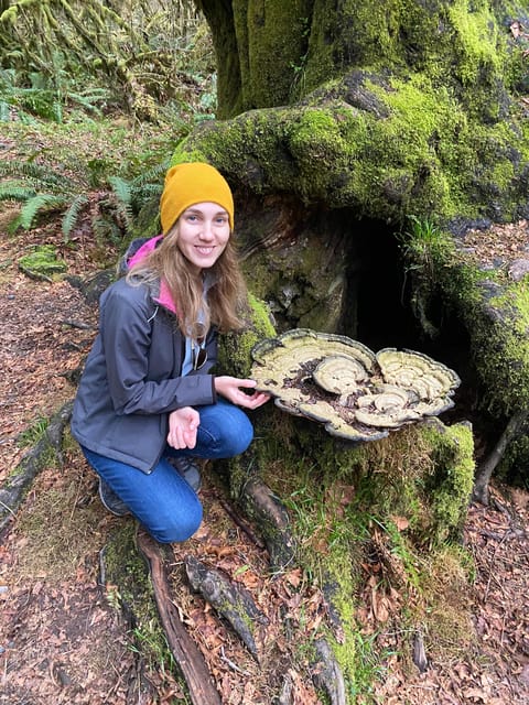 Rainforest and Olympic National Park Highlights - Practical Tips for Travelers