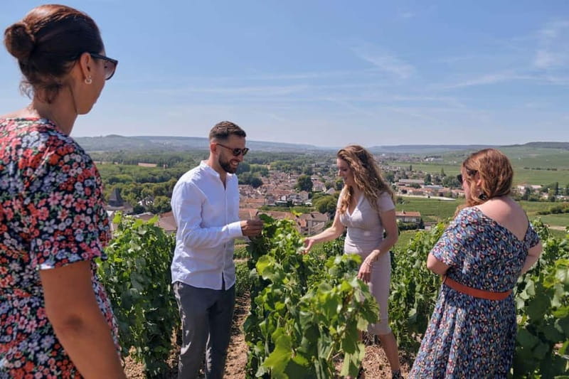 Reims or Epernay: Short day family growers & lunch - What Could Be Better