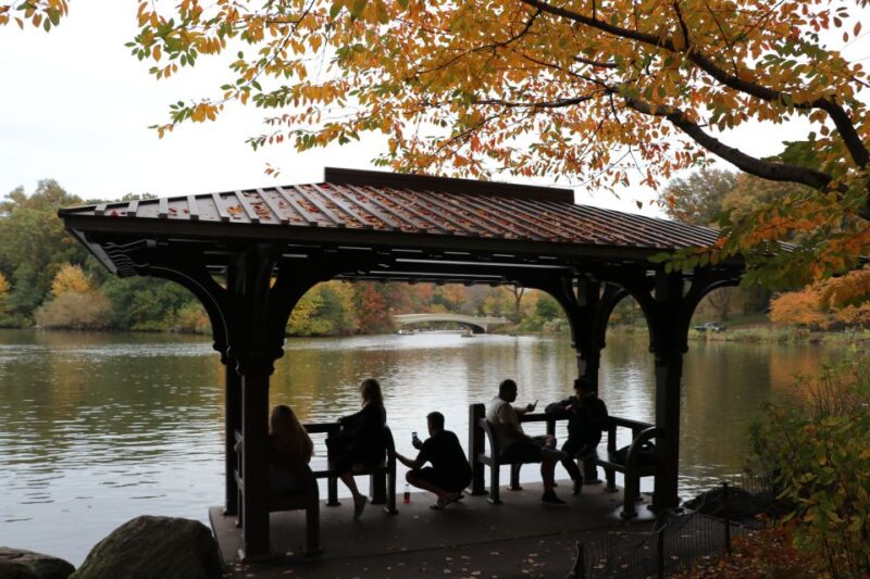 Romantic/Proposal Central Park Carriage Tour Up to 4 Adults - What Do Reviewers Say?