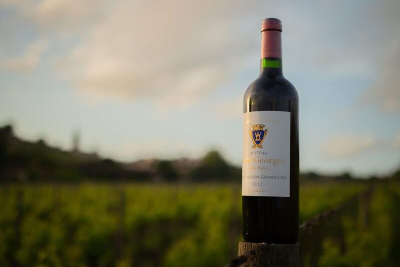 Saint-Émilion: Bordeaux Vineyard Tour and Wine Tasting - The Group Size & Atmosphere