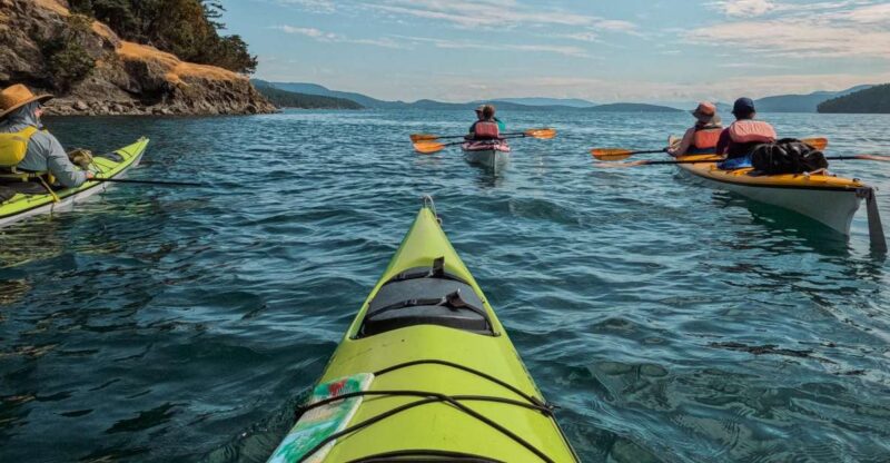 San Juan Island: 3-h Griffin Bay Tour - Wildlife Encounters