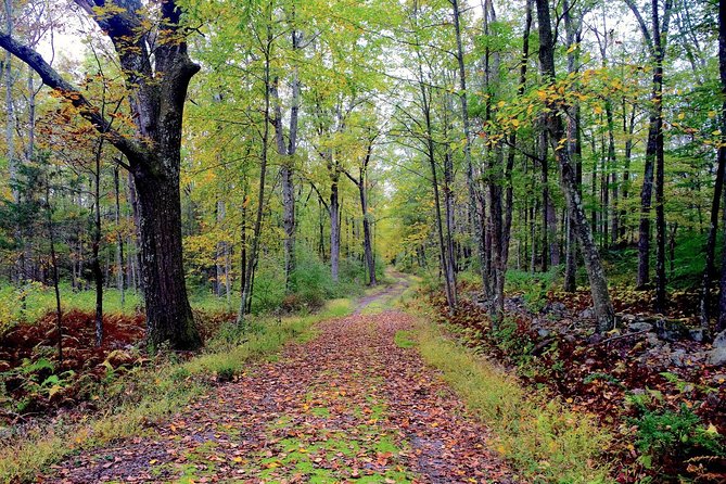 Sapadere Canyon Hiking Tour From Alanya - FAQs