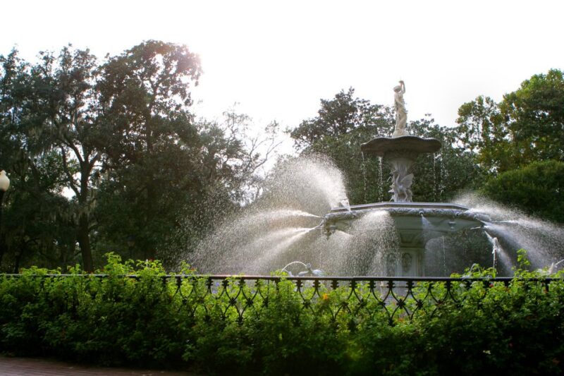 Savannah: History and Culture Walking Tour - The Guide’s Role and Group Size