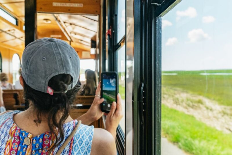 Savannah: Tybee Island Dolphin Tour - Insights from Visitors Perspectives