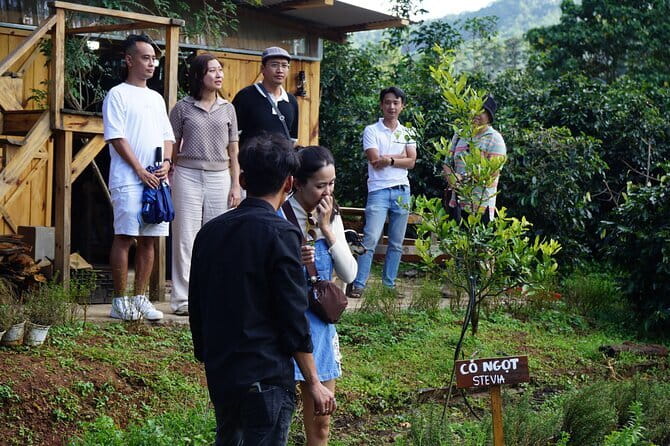 Scented Candle Workshop in Twin Beans Farm Da Lat - FAQ