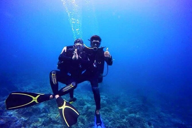 Scuba Diving Experience in Nha Trang Bay - Value for Money