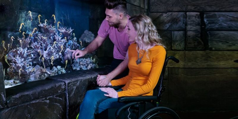 SEA LIFE Michigan Aquarium General Admission - Who Will Enjoy This Experience?