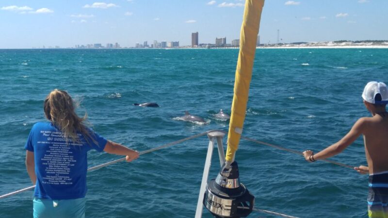 Shell Island: Adventure Tour on the Privateer Catamaran - Practical Tips for Travelers