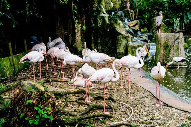 Sky Mirror Experiences at Kuala Selangor plus Batu Caves Stopover - The Sum Up