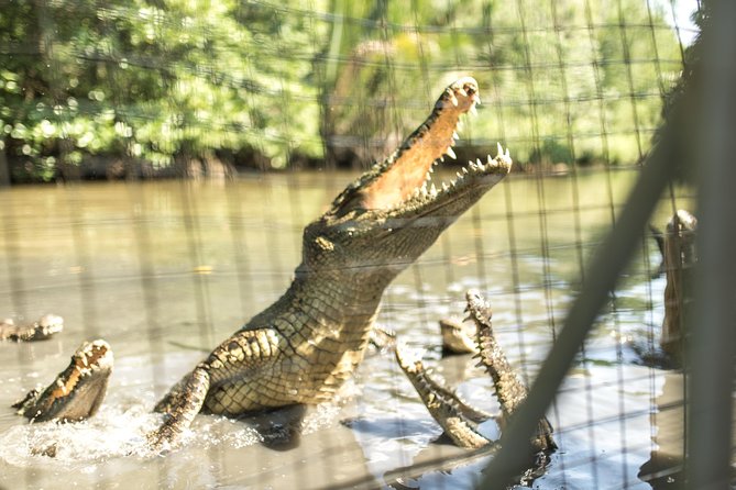 Small-Group Tour to Can Gio Vam Sat Mangrove Forest - Final Thoughts