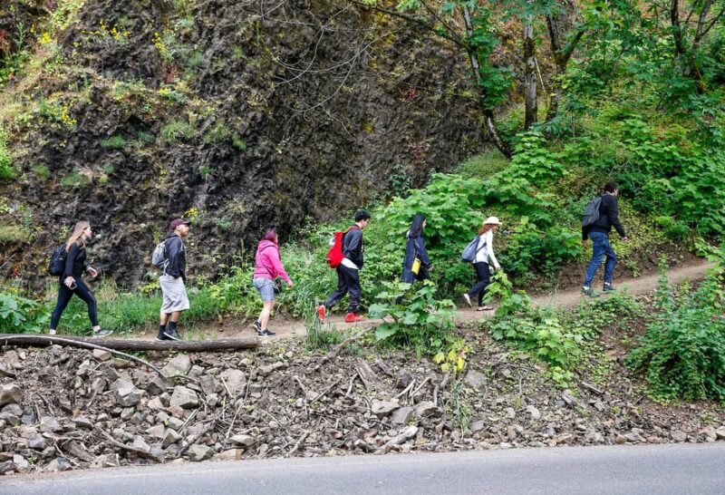 Snoqualmie, Twin Falls & Ancient Forest (Transport Included) - Value and Pricing: Is It Worth It?