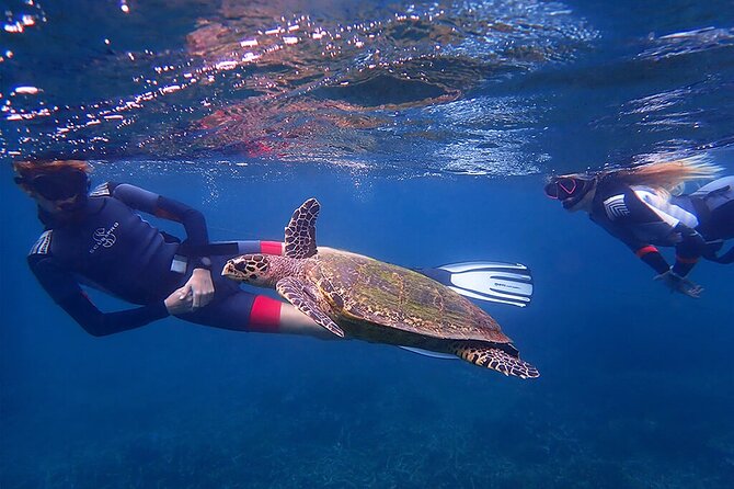 Snorkeling Trip to Pigeon Island - Practical Aspects and Value