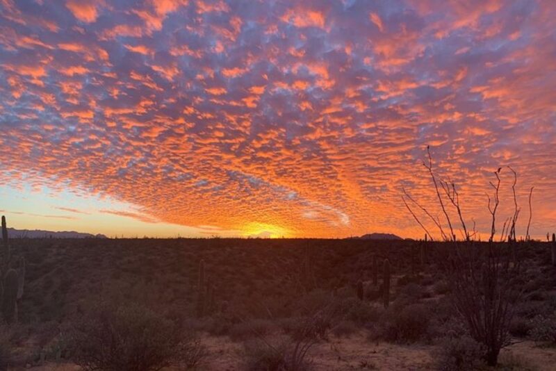 Sonoran Desert: Sunset Jeep Tour with Tonto National Forest - Final Thoughts: Is It Worth It?