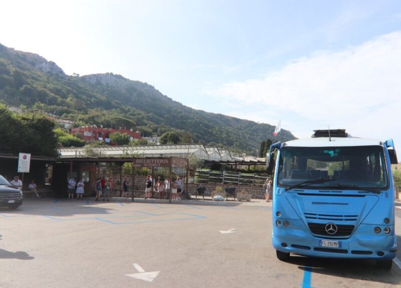 Sorrento: Capri, Anacapri and Blue Grotto Guided Tour - Who This Tour Is Best For