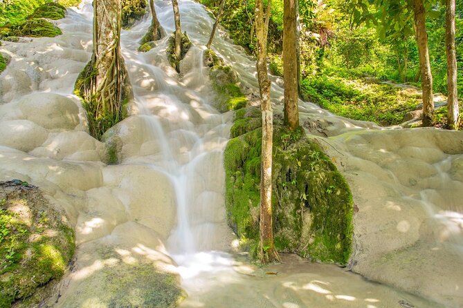 Sticky Waterfall Chiang Mai and Mae Ngat Boat Tour - What Travelers Say