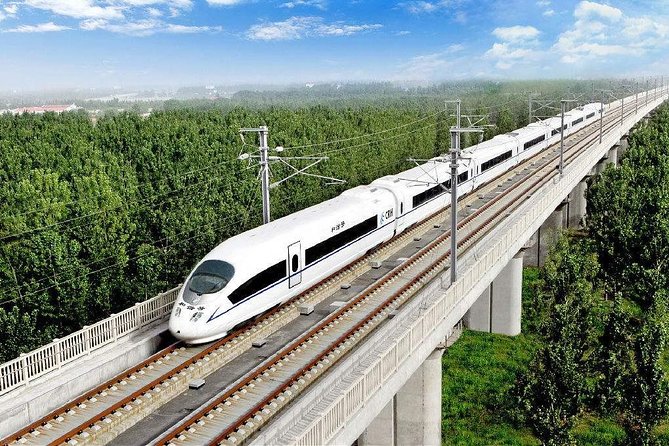 Suzhou Private Customized Day Trip from Shanghai by Bullet Train - Who Is This Tour Best For?
