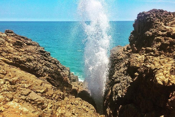 Tangalle Sightseeing Tour - The Sum Up: Who Should Book This Tour?