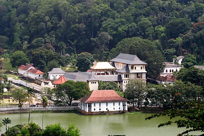 Temple of The Sacred Tooth Relic Entrance Ticket with Guide - The Value of This Tour