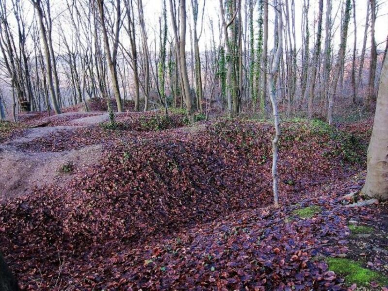 The Battle of the Chemin des Dames, departure from Laon - Who Would Love This Tour?