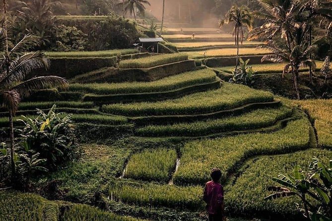 The Gates of Heavan - Ubud Jungle Swing & Waterfall Tour - The Sum Up