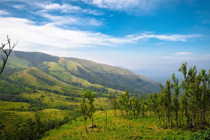 The Mysuru Maharaja Walk - FAQ
