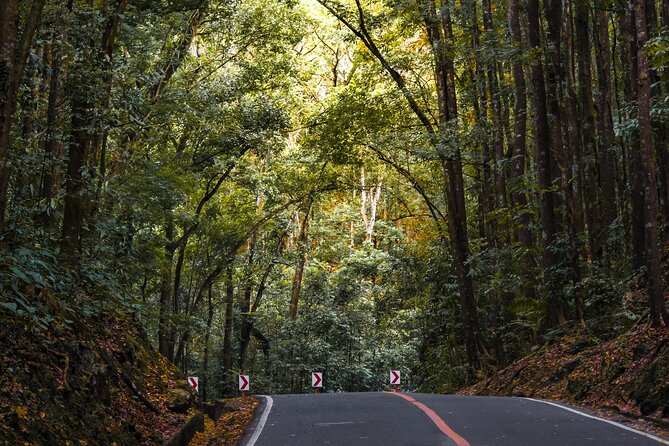 The tour of the must-see sites of Bohol - Who Will Love This Tour?