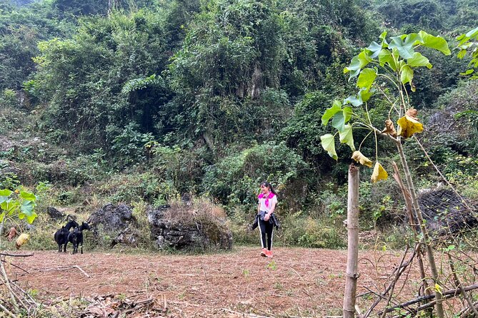 Trekking Ban Gioc Waterfall to Hidden Village on Unique Route - FAQ