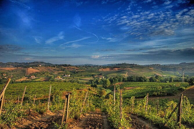 Truffle hunting and lunch experience, with Vinci and winery. - Authentic Moments and Unique Experiences