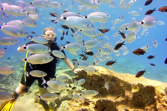 Try Dive - Scuba Diving with a private guide, incl. photos - FAQs