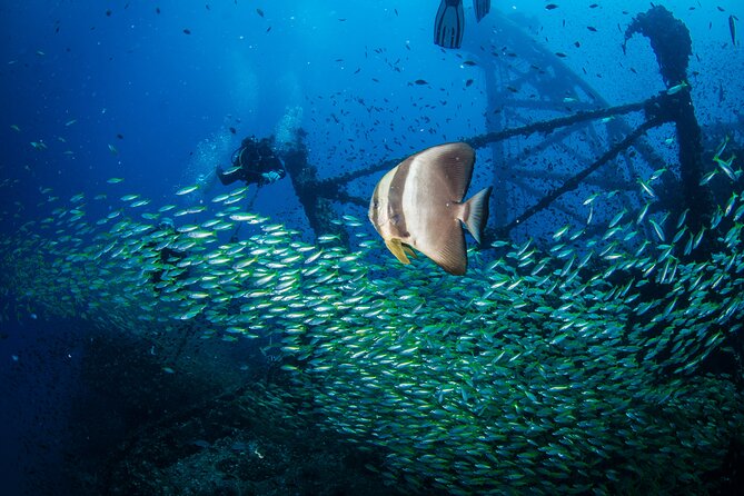 Try Scuba Diving 2 Dives Bang Bao - In Closing