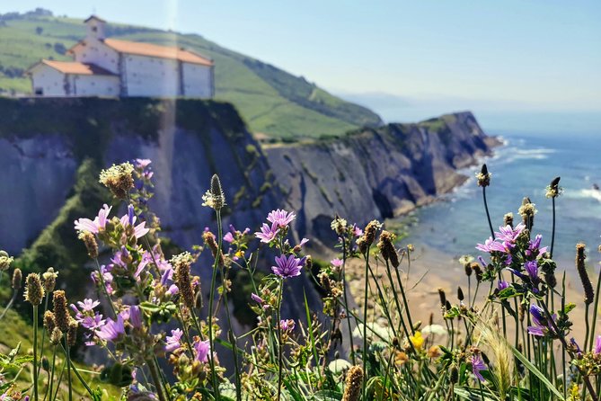 TXAKOLI vineyards HIKE, ZUMAIA and GETARIA - Private Outdoor & Gastronomic Tour - Charcoal-Grilled Seafood Lunch in Getaria