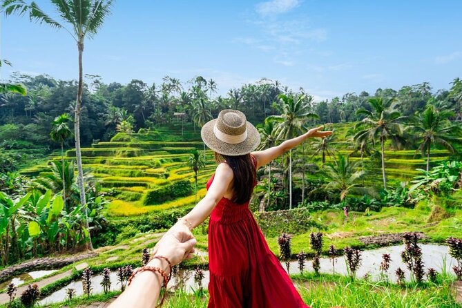 Ubud Tour - Best of Ubud - All Inclusive Package - The Sum Up