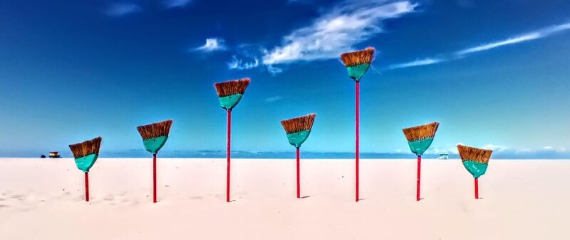 Venice Beach Scenic Photo Tour of Famous Iconic Spots - The Value of This Tour