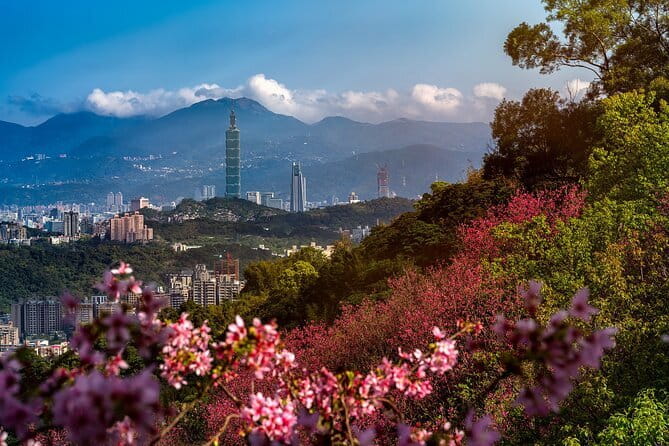 Vintage Taipei - Best of Taiwan & Sunset Walking Tour (Tip-based) - Final Thoughts