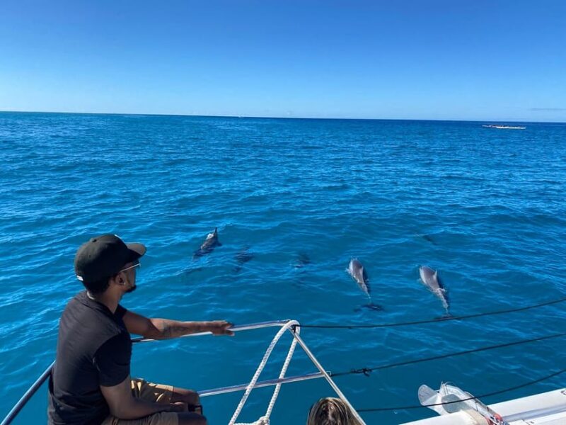 Waikiki: Sea Turtle Snorkeling, Small Group Boat Tour - Practical Details and Tips