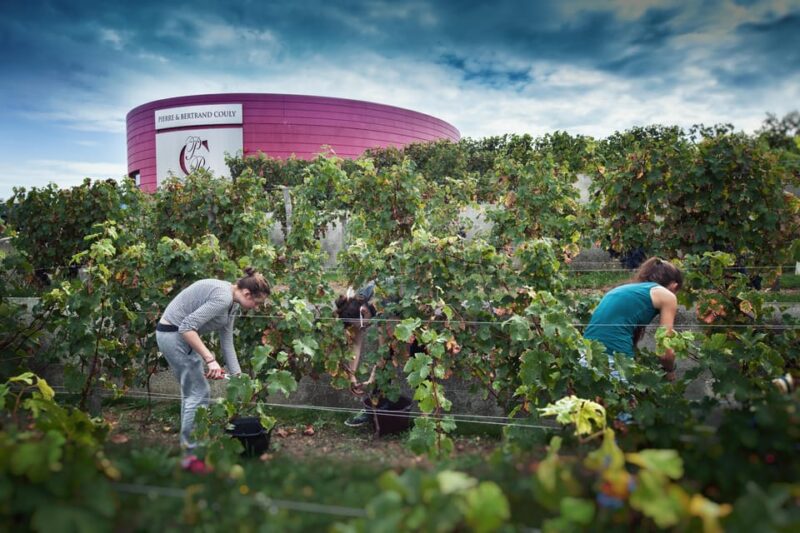 Wine and Chocolate experience - FAQ